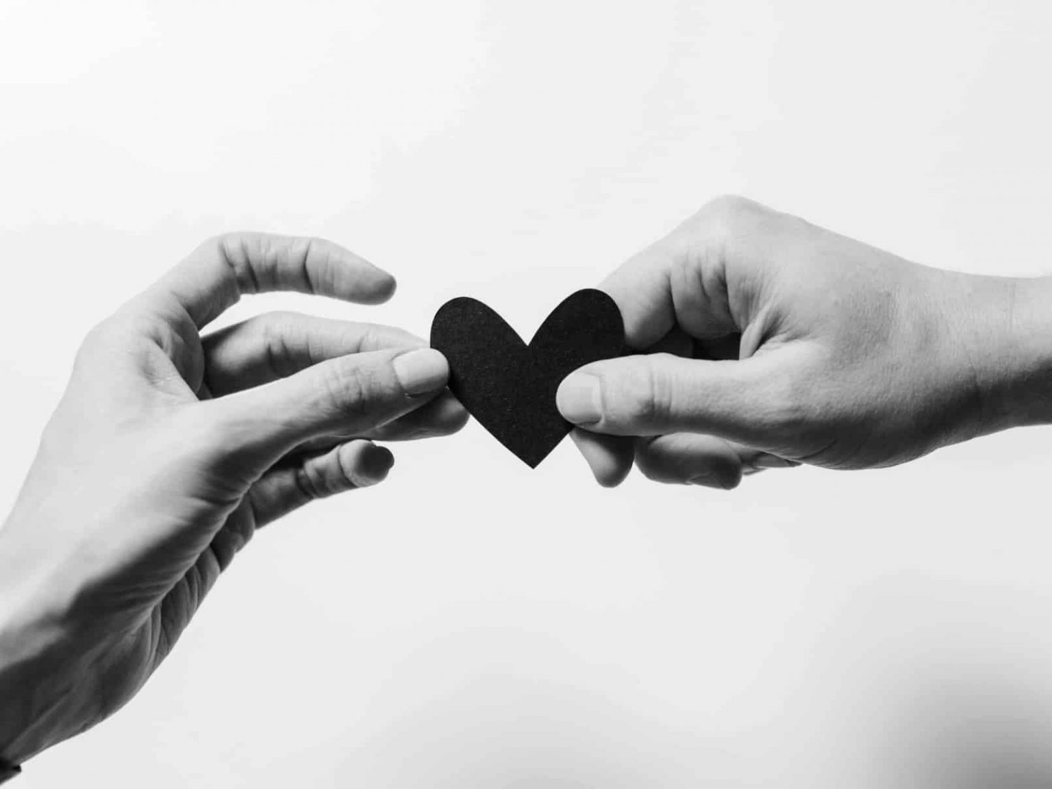 Whole Heart Love · Build Lasting Relationships· Reunite with You